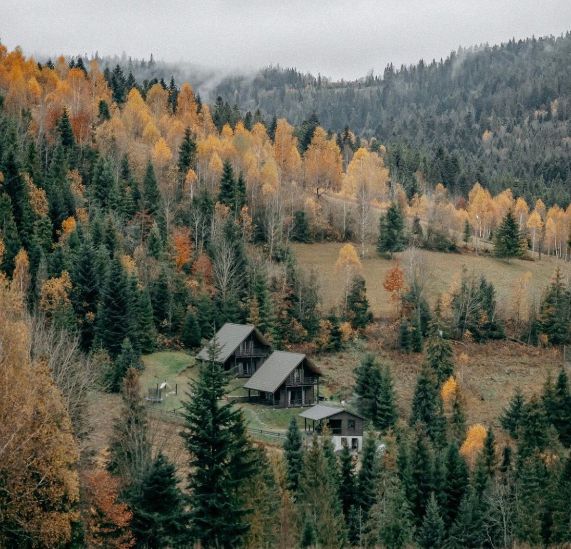 "Shepit Lisu" у Мита – Hutshub